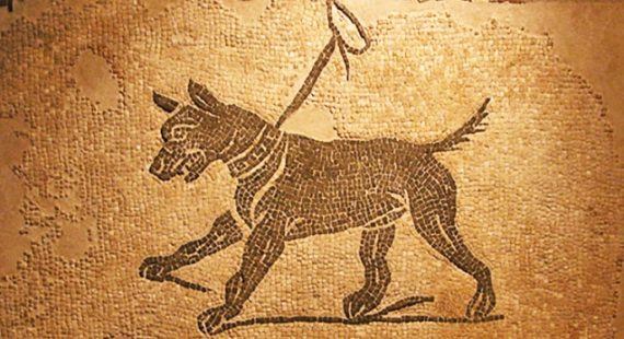 The Molossus - The Dog That Conquered The World - David J Castello - Author